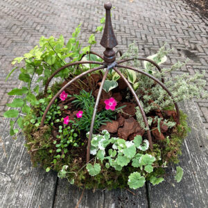 Decoraties | De Vier Seizoenen | Workshops in Groendecoratie